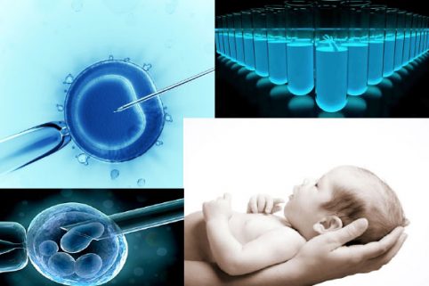 IVF treatment Center - IVF Fertility hospital - Gynec Clinic - Radiance ...